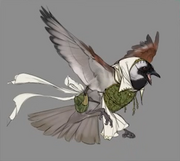 Bird - Magic: The Gathering Wiki