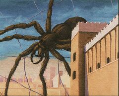 Spider - Magic: The Gathering Wiki
