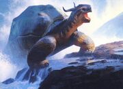 Turtle - Magic: The Gathering Wiki