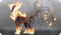 Elemental - MTG Wiki