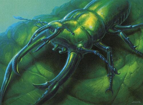 Insect - Magic: The Gathering Wiki