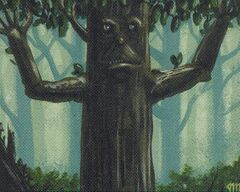 Treefolk - Magic: The Gathering Wiki