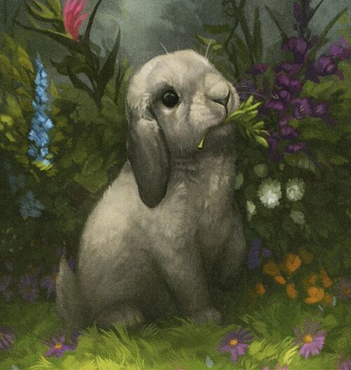 Rabbit - Magic: The Gathering Wiki