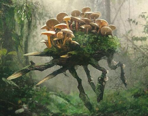 Saproling - Magic: The Gathering Wiki