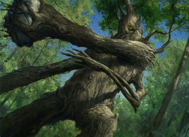 Treefolk - Magic: The Gathering Wiki