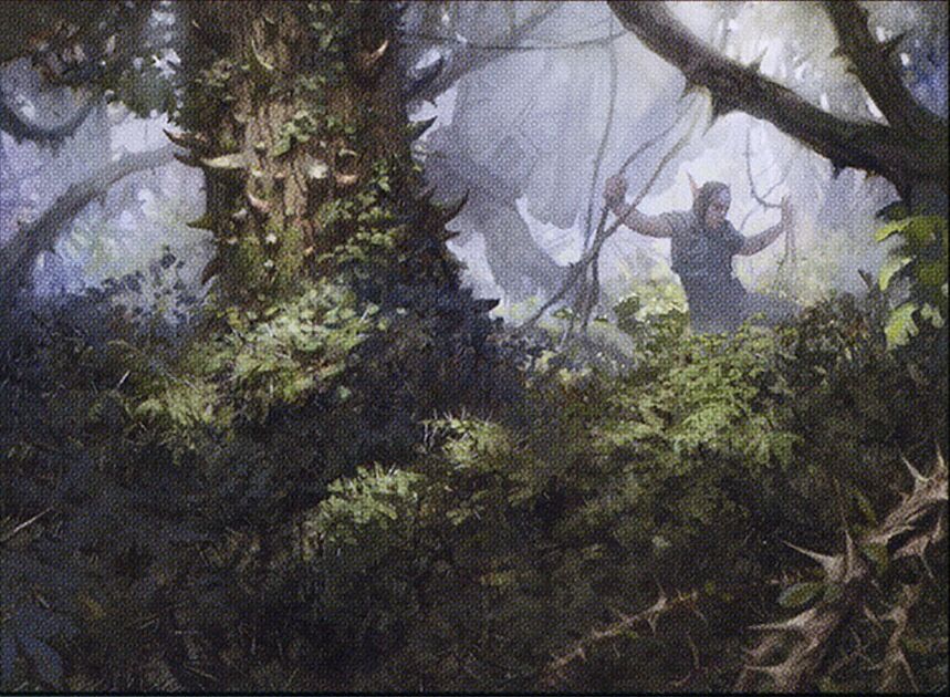 Oran-Rief - Magic: The Gathering Wiki