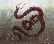 Wurm - MTG Wiki