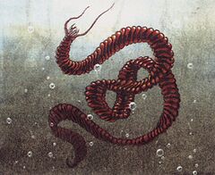 Wurm - MTG Wiki