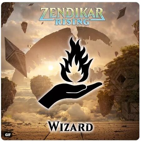 Wizard - MTG Wiki